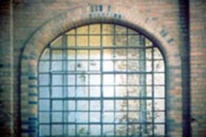 Vaulted Structures - Auroville Earth Institute