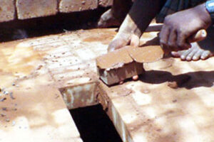 Arches Vaults & Domes (AVD) Construction - Auroville Earth Institute